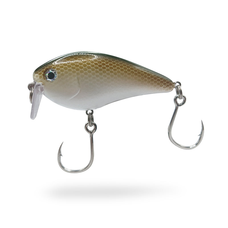 Fat Lipper – Salt Strong