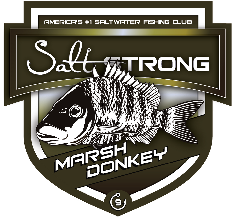 Accessories – Salt Strong