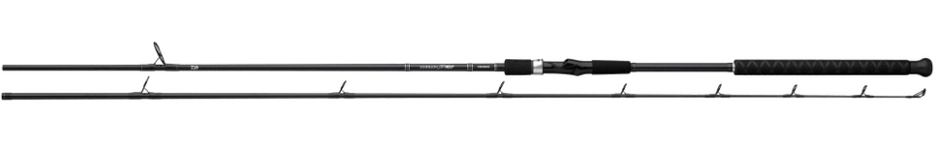 Saltwater Rods – Salt Strong